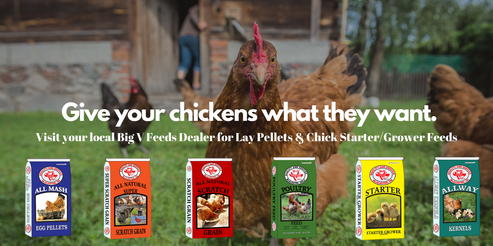 We are Big V Feeds | Big V Feeds provide a full line of livestock feeds, processed grains and ...